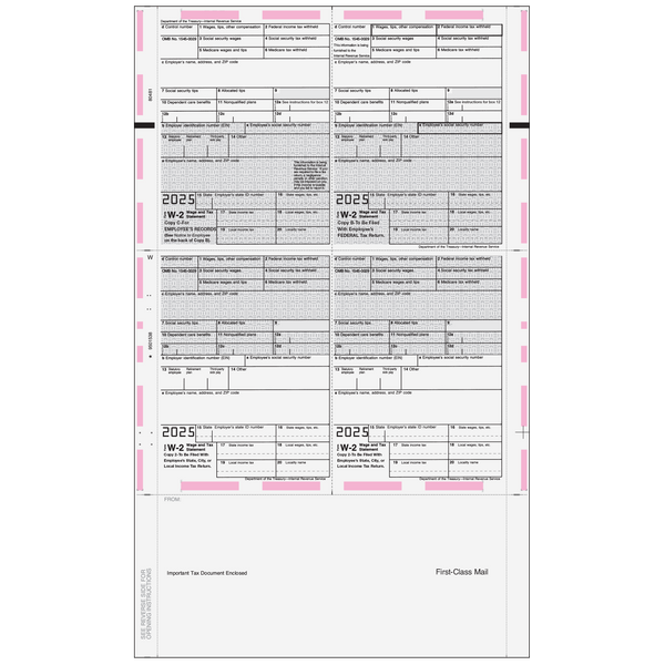80481 - Tax Form Depot